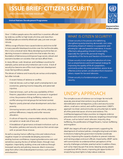 Issue Brief: Citizen Security | ALNAP