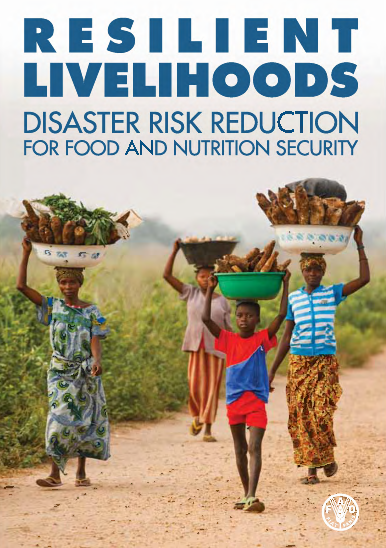 Resilient Livelihoods: Disaster Risk Reduction for Food and Nutrition ...