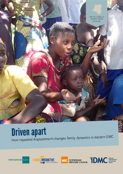 Driven apart: how repeated displacement changes family dynamics in ...