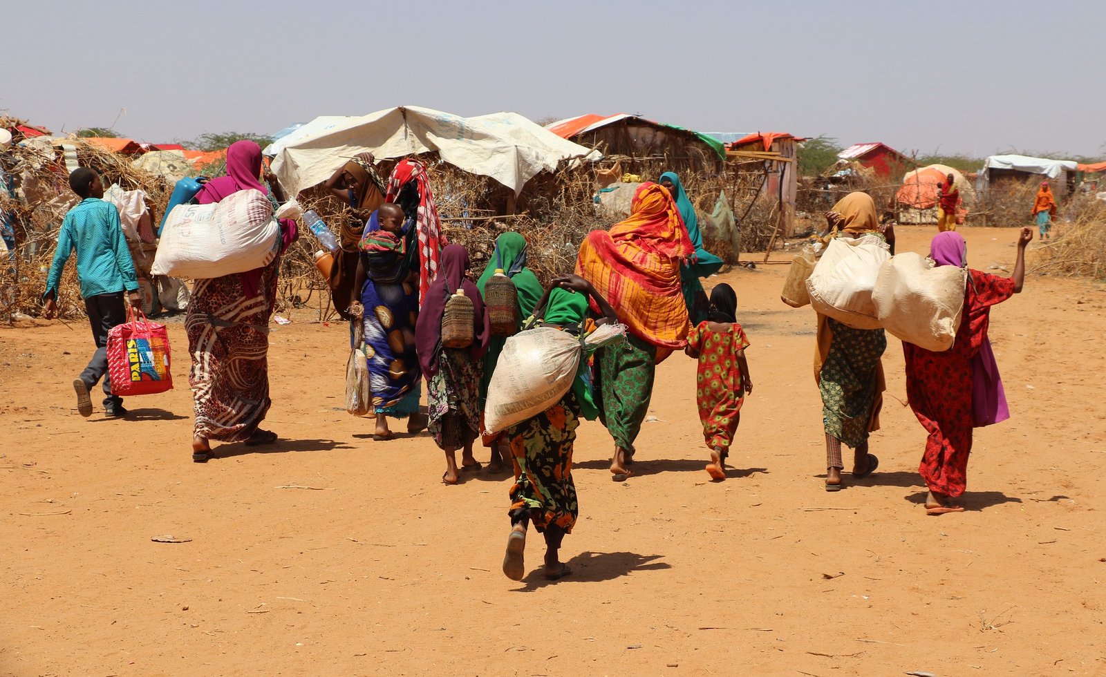 ALNAP - Active Learning Network for Accountability and Performance | ALNAP