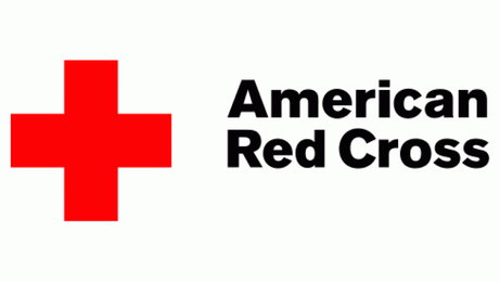 Swedish Red Cross Society | ALNAP