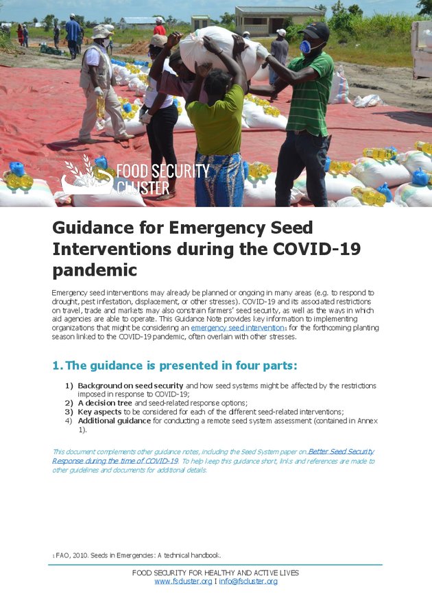 Guidance for Emergency Seed Interventions during the COVID-19 pandemic ...