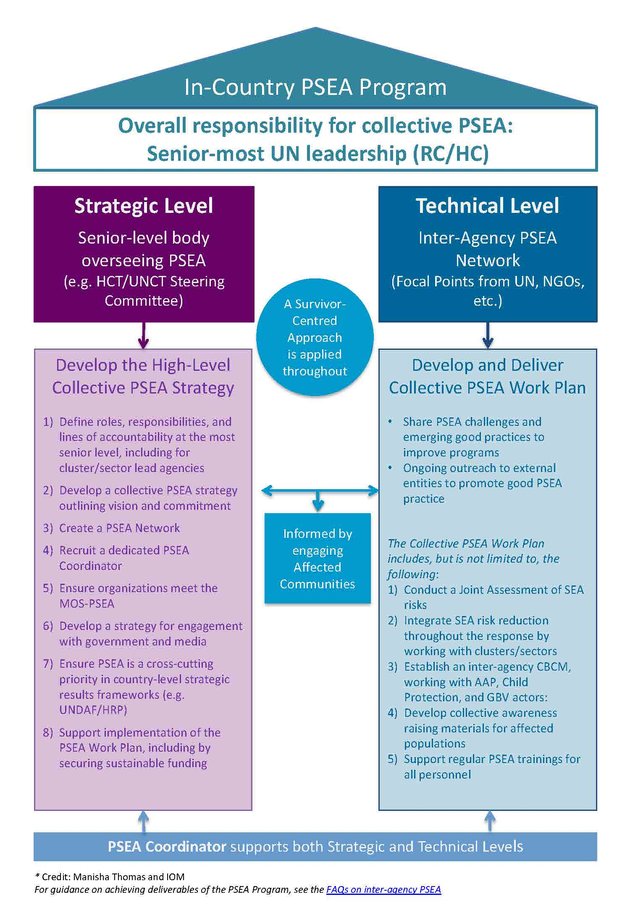 Inter-agency PSEA Program Diagram | ALNAP
