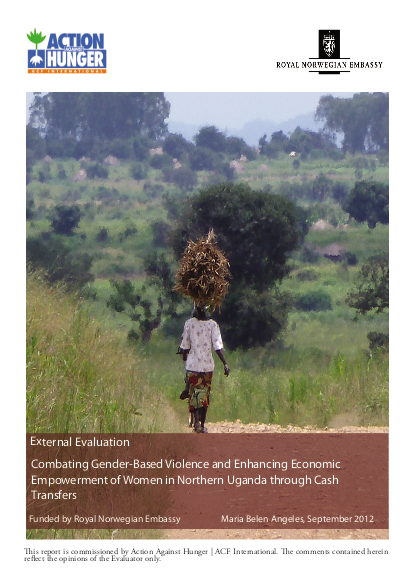 Final Independent Evaluation of the project for Combating Gender-Based ...