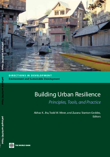 Building Urban Resilience | ALNAP