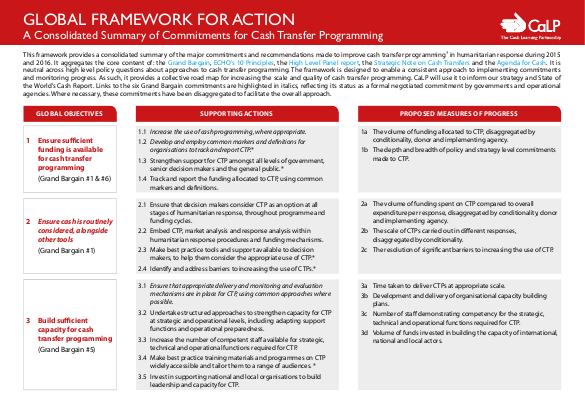 Global Framework for Action: A Consolidated Summary of Commitments for Cash Transfer Programming ...