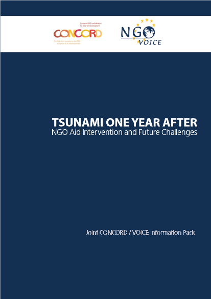 Tsunami One Year After, NGO Aid Intervention and Future Challenges | ALNAP