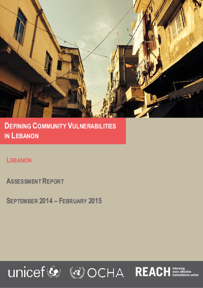 Defining Community Vulnerabilities in Lebanon | ALNAP