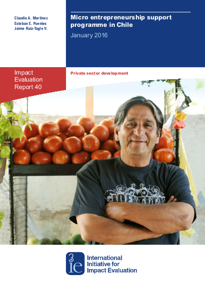 Micro entrepreneurship support programme in Chile | ALNAP