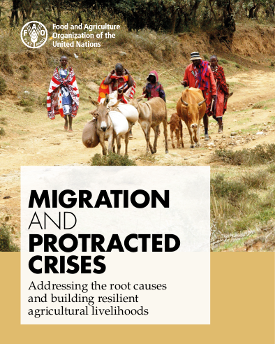 Migration and Protracted Crises - Addressing the root causes and ...