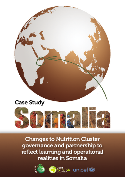 Case Study Somalia: Changes to Nutrition Cluster governance and ...