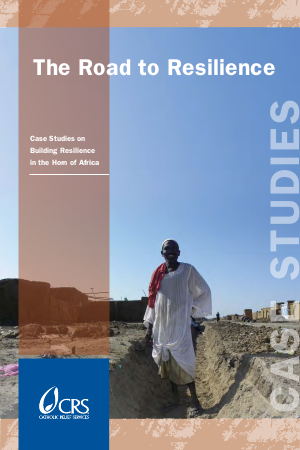The Road to Resilience: Case Studies on Building Resilience in the Horn ...