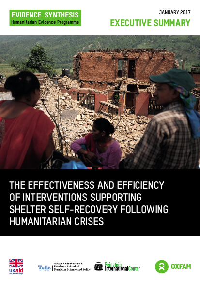 Executive Summary: The Effectiveness and Efficiency of Interventions ...