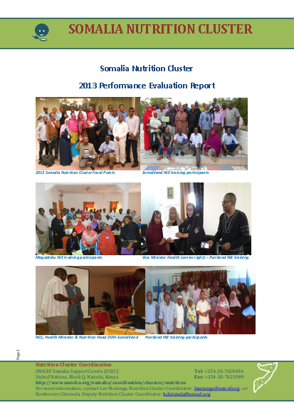 Somalia Nutrition Cluster 2013 Performance Evaluation Report | ALNAP